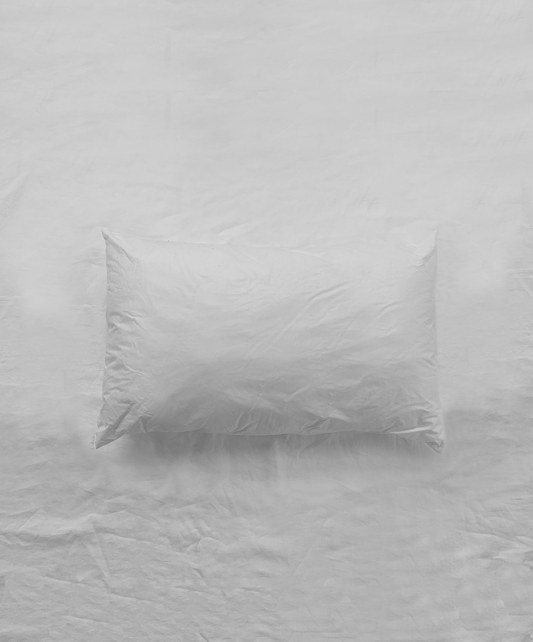 CULTIVER | Cushion Insert | CULTIVER - Australia